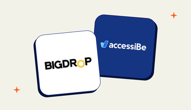 How Big Drop Inc Drives ROI with accessiBe - accessiBe